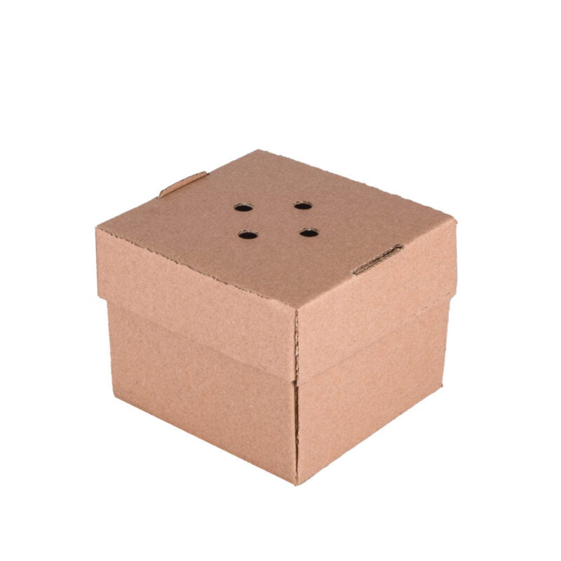 Ventilated Burger Boxes - Maintain the Perfect Crunch Small Plain ...